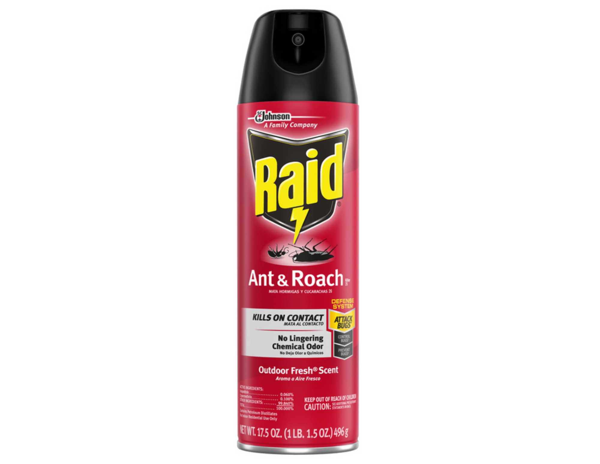 Raid Ant and Roach (Red) 17.5 oz – Canasta Express